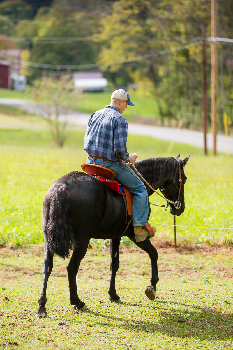 Sycamore Creek Saddles | Johnson City, TN - Laze L Farm Photography