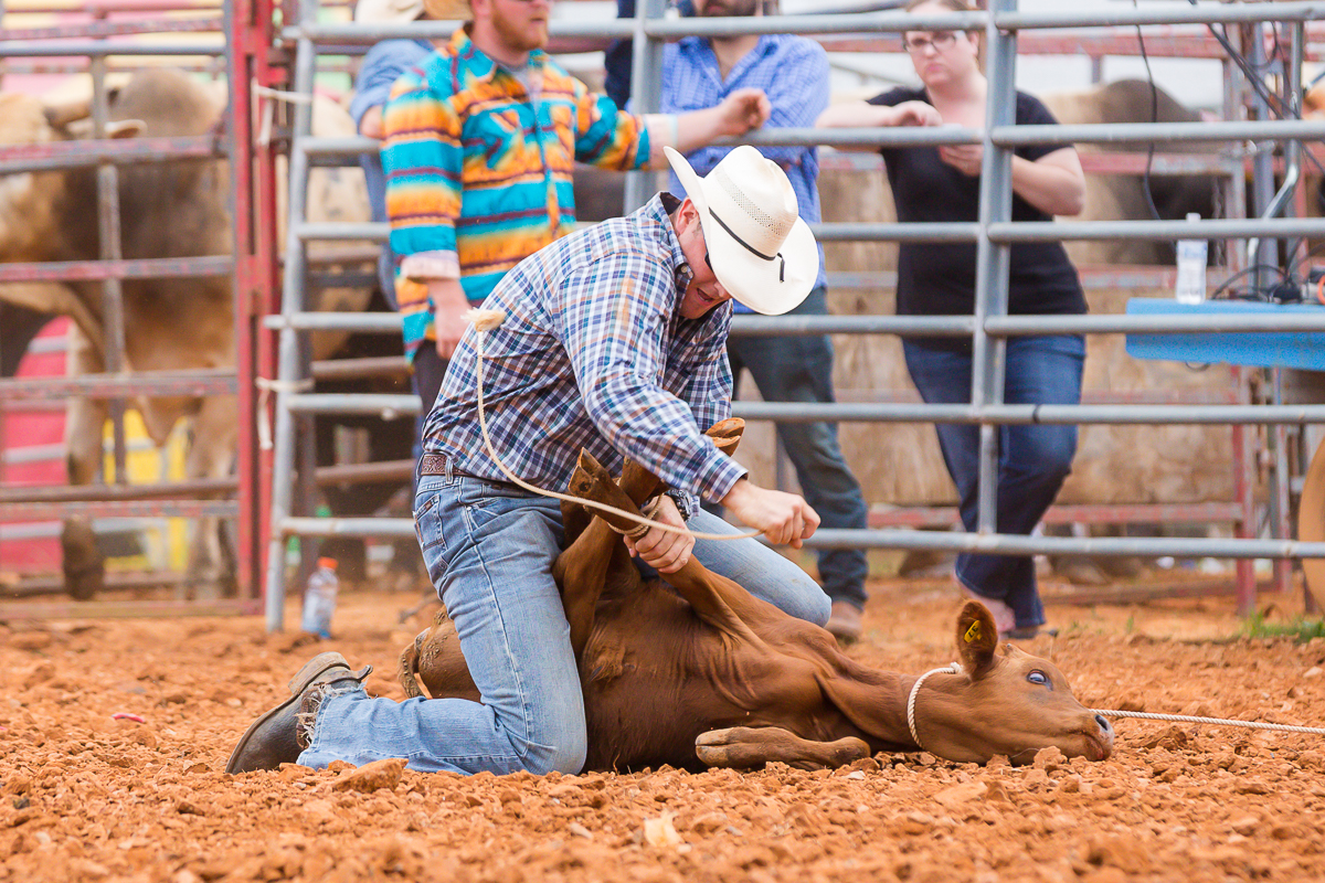 Dixie Classic Fair | SRA Rodeo | Winston-Salem NC - Laze L Farm Photography