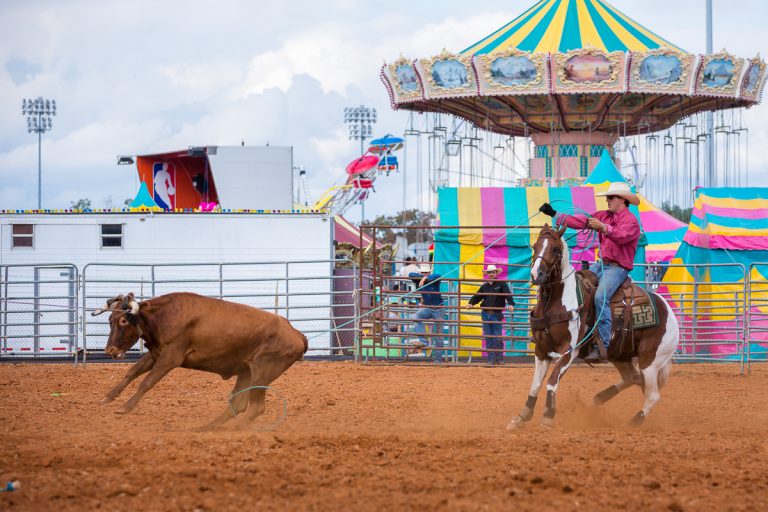 Dixie Classic Fair | SRA Rodeo | Winston-Salem NC - Laze L Farm Photography