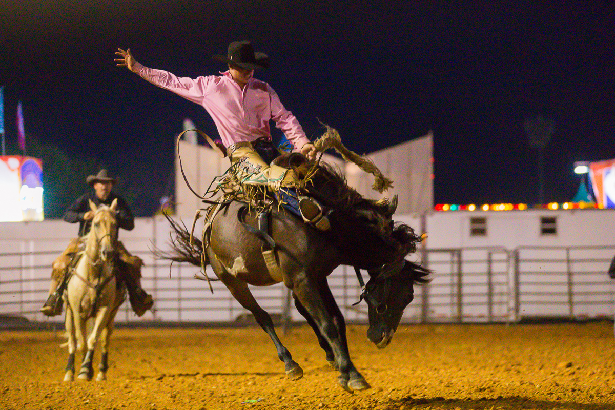 Dixie Classic Fair | SRA Rodeo | Winston-Salem NC - Laze L Farm Photography