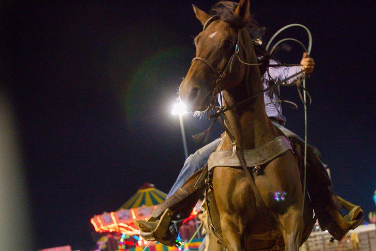 Dixie Classic Fair | SRA Rodeo | Winston-Salem NC - Laze L Farm Photography