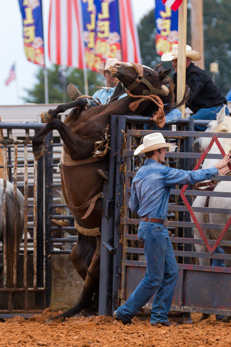 Dixie Classic Fair | SRA Rodeo | Winston-Salem NC - Laze L Farm Photography