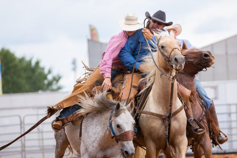 Dixie Classic Fair | SRA Rodeo | Winston-Salem NC - Laze L Farm Photography