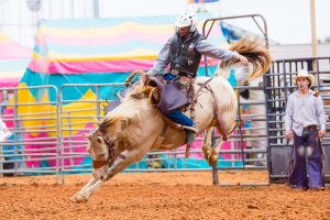 Dixie Classic Fair | SRA Rodeo | Winston-Salem NC - Laze L Farm Photography