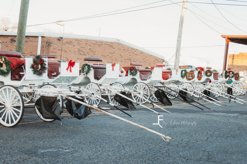 Carolina Carriage | Horse Drawn Carriage | Bethlehem NC - Laze L Farm ...